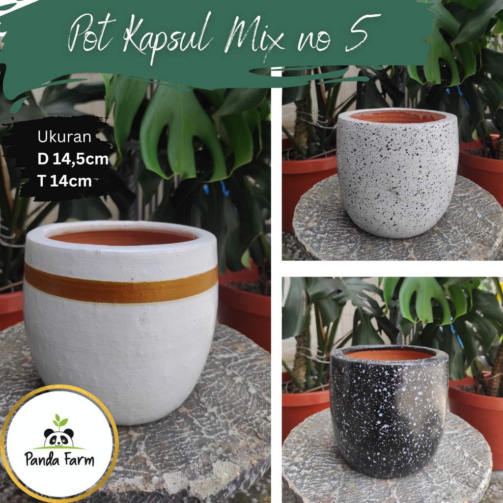 Jual Pot kapsul mix no 5 D 14,5 cm T 14 cm | Shopee Indonesia