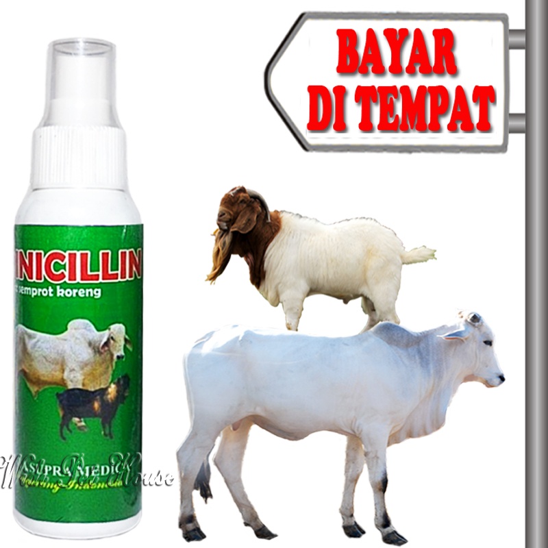 Jual Obat Koreng Buduk Jamur Sapi Kambing Semprot Pinicillin | Shopee ...