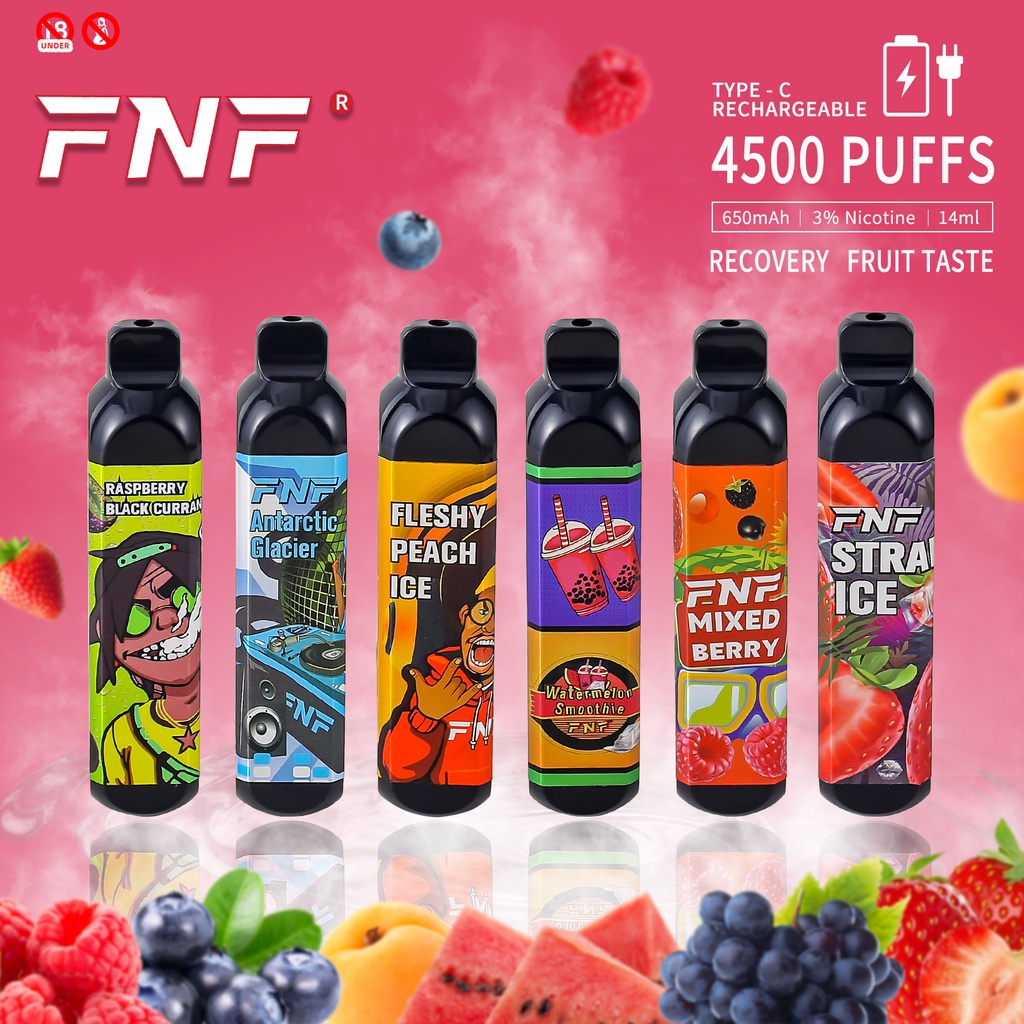Jual FNF Type-C Disposable Pods 4500 Puffs Berbagai rasa Plus Vape ...