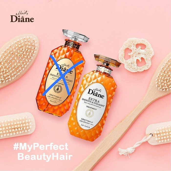 Jual Moist Diane Conditioner Treatment Perfect Beauty Extra 450Ml ...