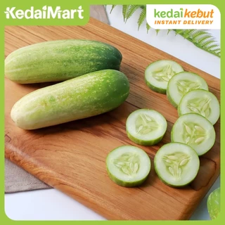 Jual Timun 1 Kg Terlengkap & Harga Terbaru September 2025 | Shopee ...
