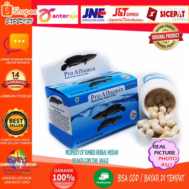 Jual PRO ALBUMIN Kapsul Ekstrak Ikan Gabus - Kutuk Ash Shihah OriGINAL | Shopee Indonesia