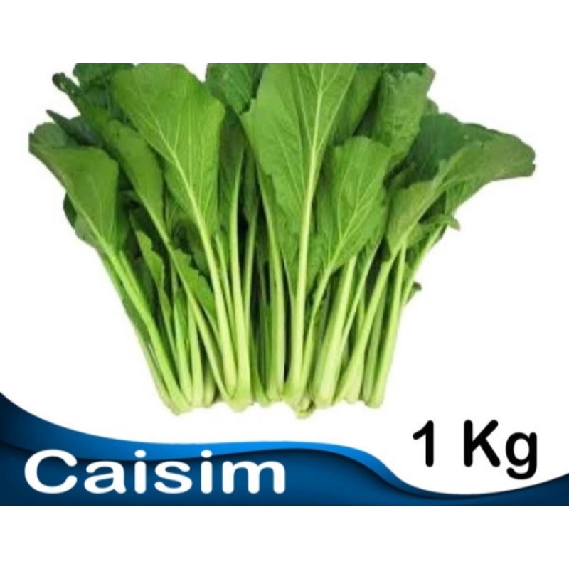 Jual Sawi Ijo 1kg | Shopee Indonesia