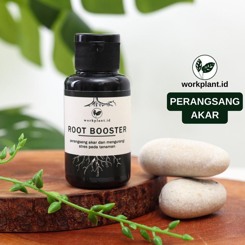Jual New! Workplant Root Booster - Perangsang Akar Penumbuh/Nutrisi ...