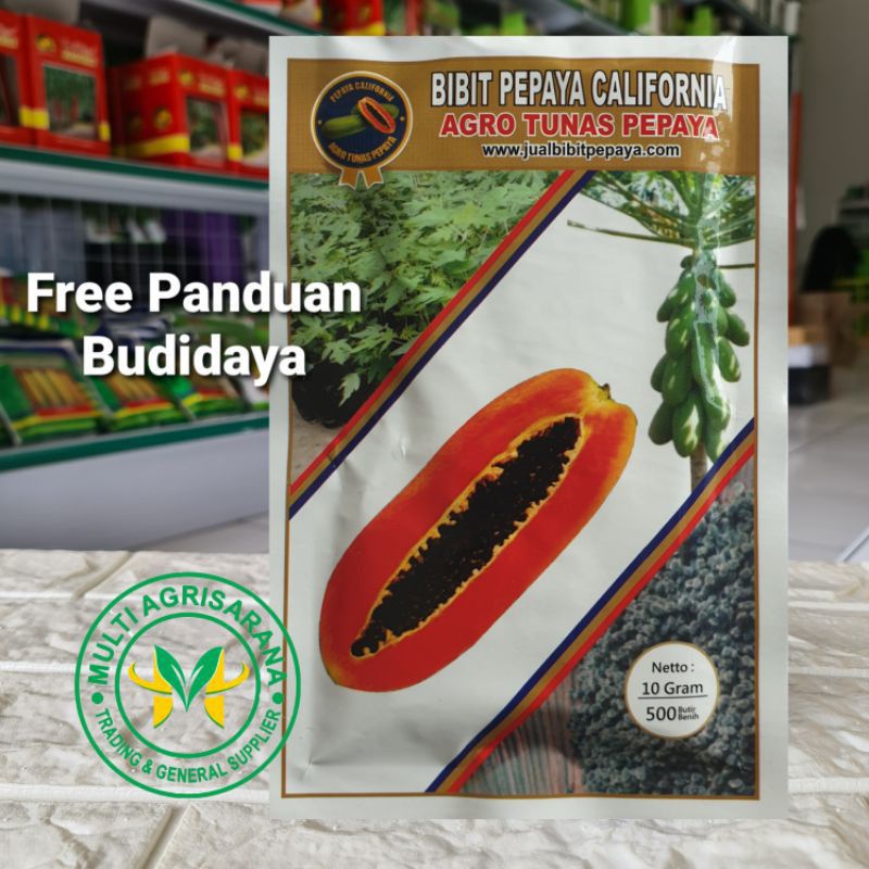 Jual BIBIT BENIH PEPAYA CALIFORNIA-CALINA isi 10g | Shopee Indonesia