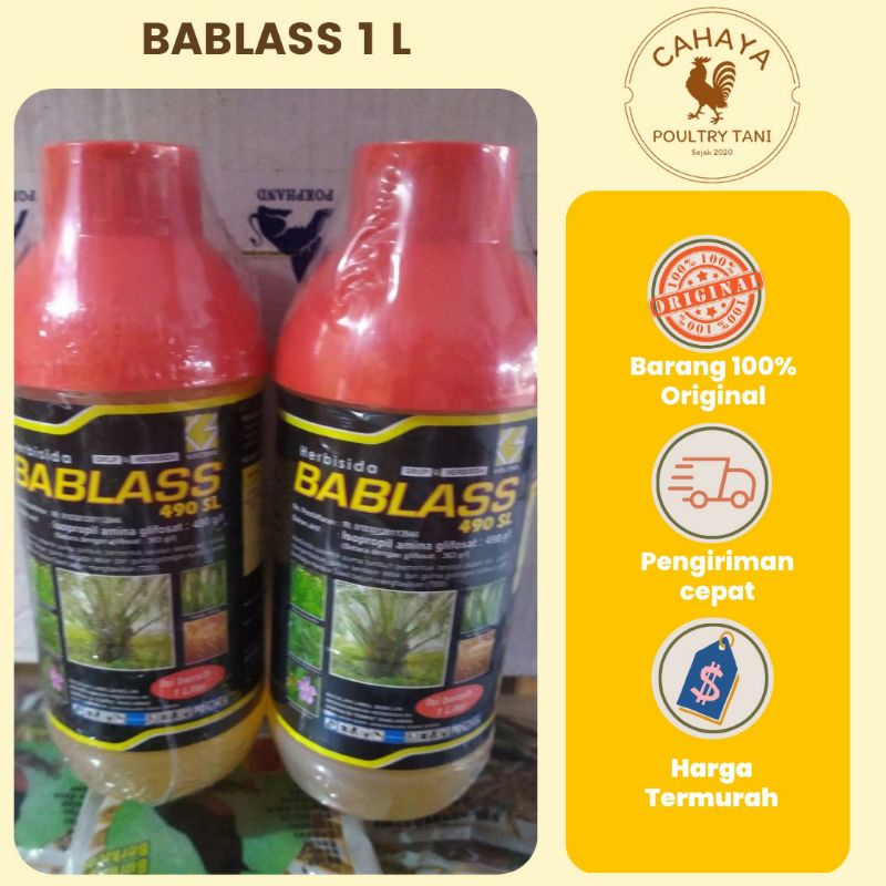 Jual Herbisida BABLASS 490 SL 1 LITER (Rumput Mati Sampai Akar ...