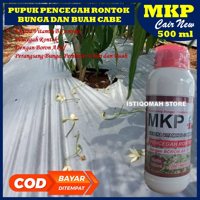 Jual Pupuk MKP Cair New 500ML Obat Semprot Perangsang Bunga dan Buah Cabe Anti Rontok Terbaik ...