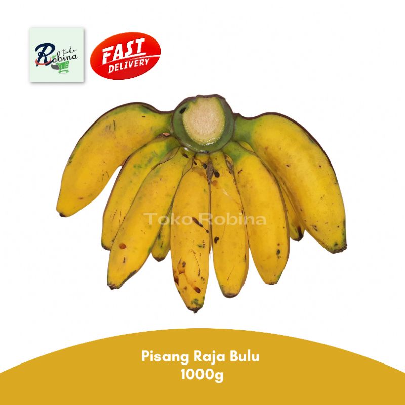 Jual Pisang Raja Bulu 1000 gr | Shopee Indonesia