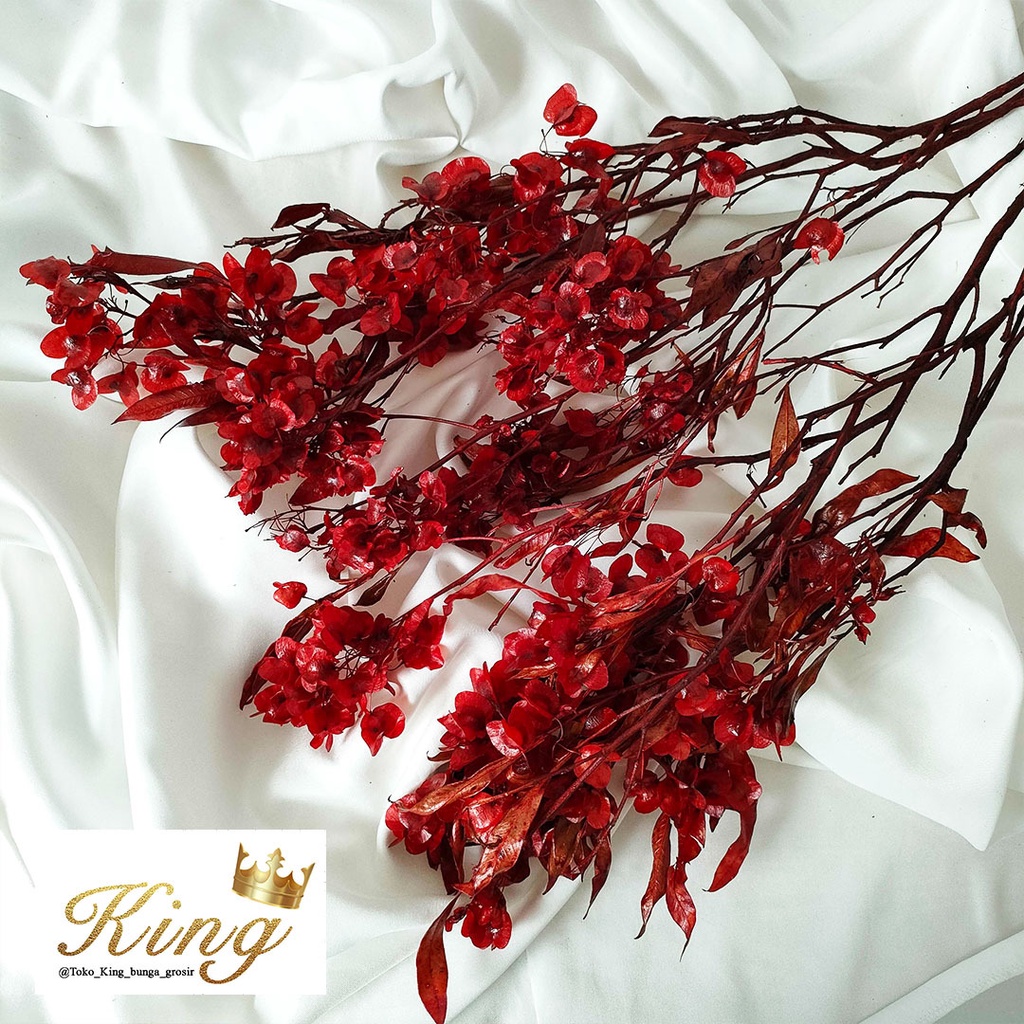 Jual Chinese New Year Preserved Red HopBush Dodonaea Bunga Imlek ...