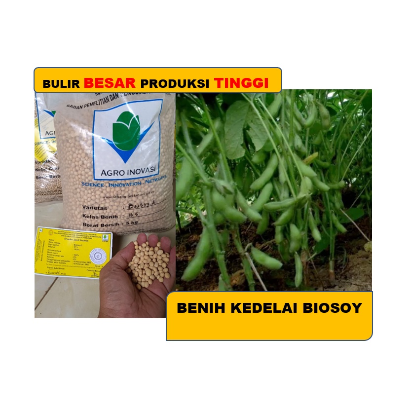 Jual 1 Kg Benih kedelai Biosoy Unggul Biji Jumbo Produksi Tinggi BB ...