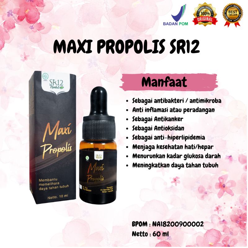 Jual Maxi Propolis SR12/Ampuh Menjaga & Meningkatkan Daya Tahan Tubuh Termurah | Shopee Indonesia