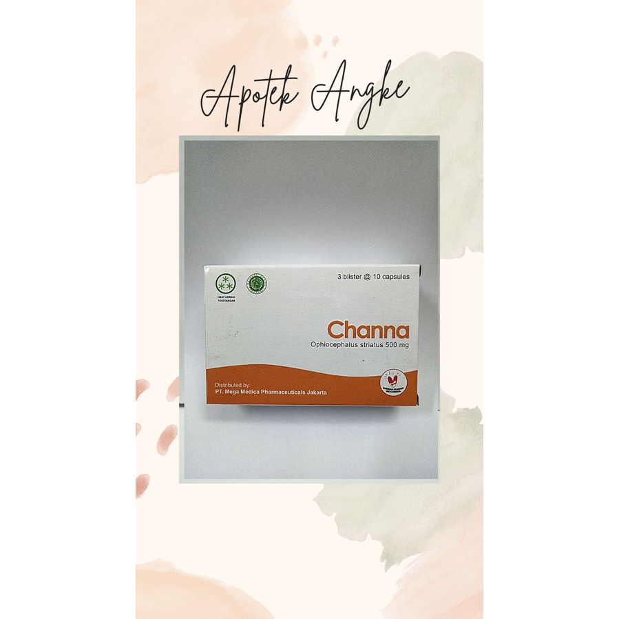Jual CHANNA @10 KAPSUL PER STRIP | Shopee Indonesia