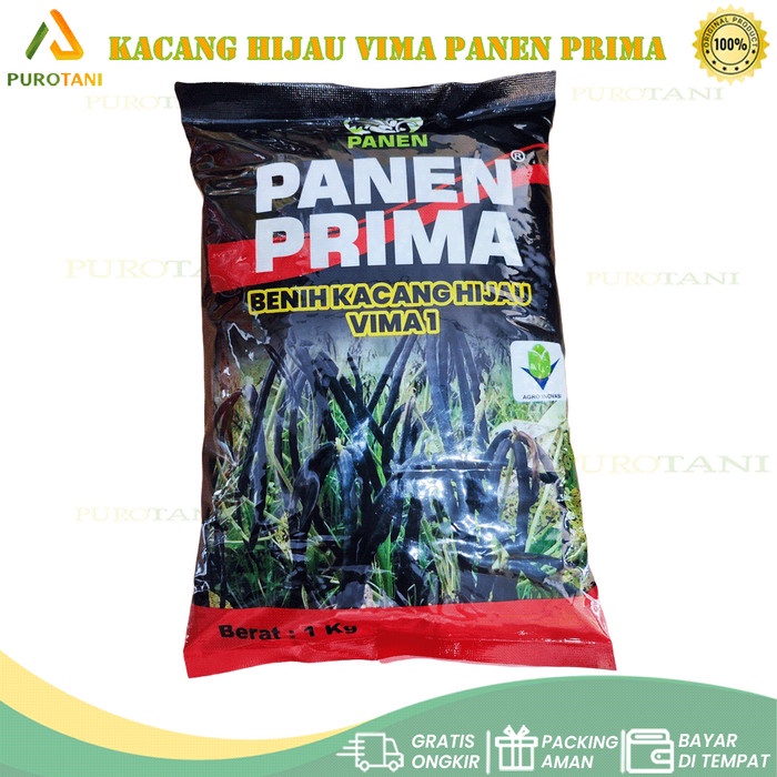 Jual Benih Kacang Hijau Vima 1 Panen Prima 1KG | Shopee Indonesia