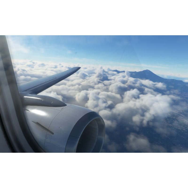 Jual PMDG 737 all variant for Microsoft flight simulator 2020 | Shopee ...