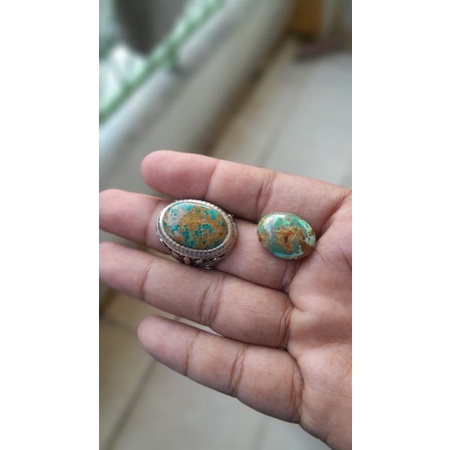 Jual Natural Pirus Persia ( Iran ) | Shopee Indonesia