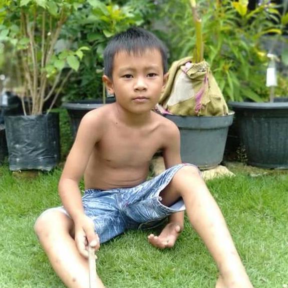 Jual TERBARU 1 Kg. Rumput Swiss, Rumput Hias halus dan Lembut, tanaman ...