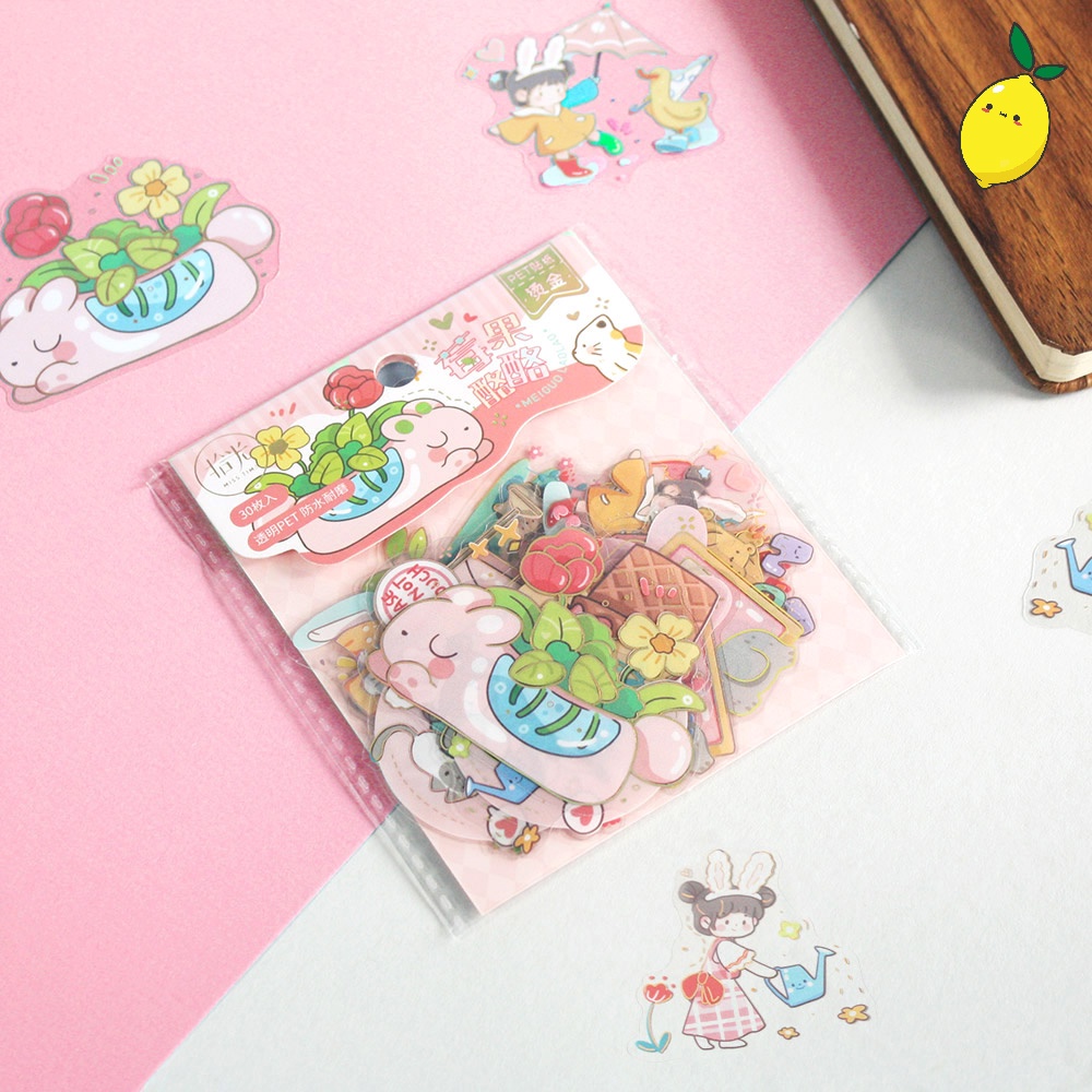 Jual Stiker Diary Lucu Berry Cheese Flake Stickers Set | Shopee Indonesia