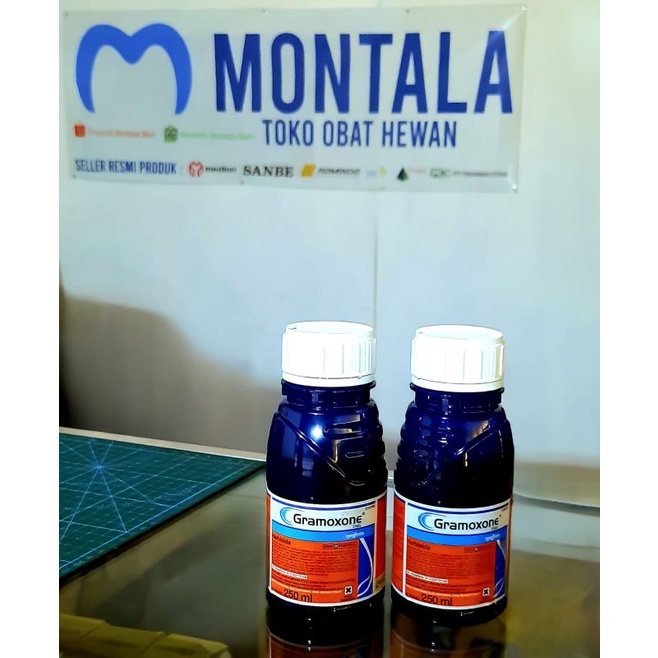 Jual GRAMOXONE 250ML HERBISIDA OBAT PEMBASMI RUMPUT LIAR MONTALA MART ...