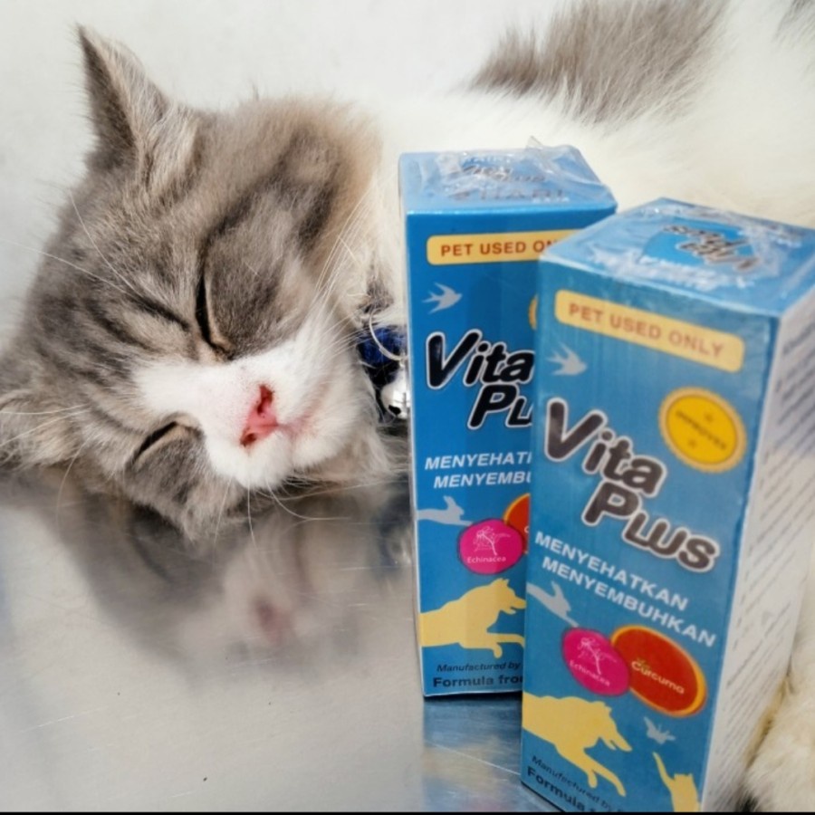 Jual Vita Plus Vitamin Kucing Anjing Kelinci 30ml Multivitamin Vitaplus | Shopee Indonesia
