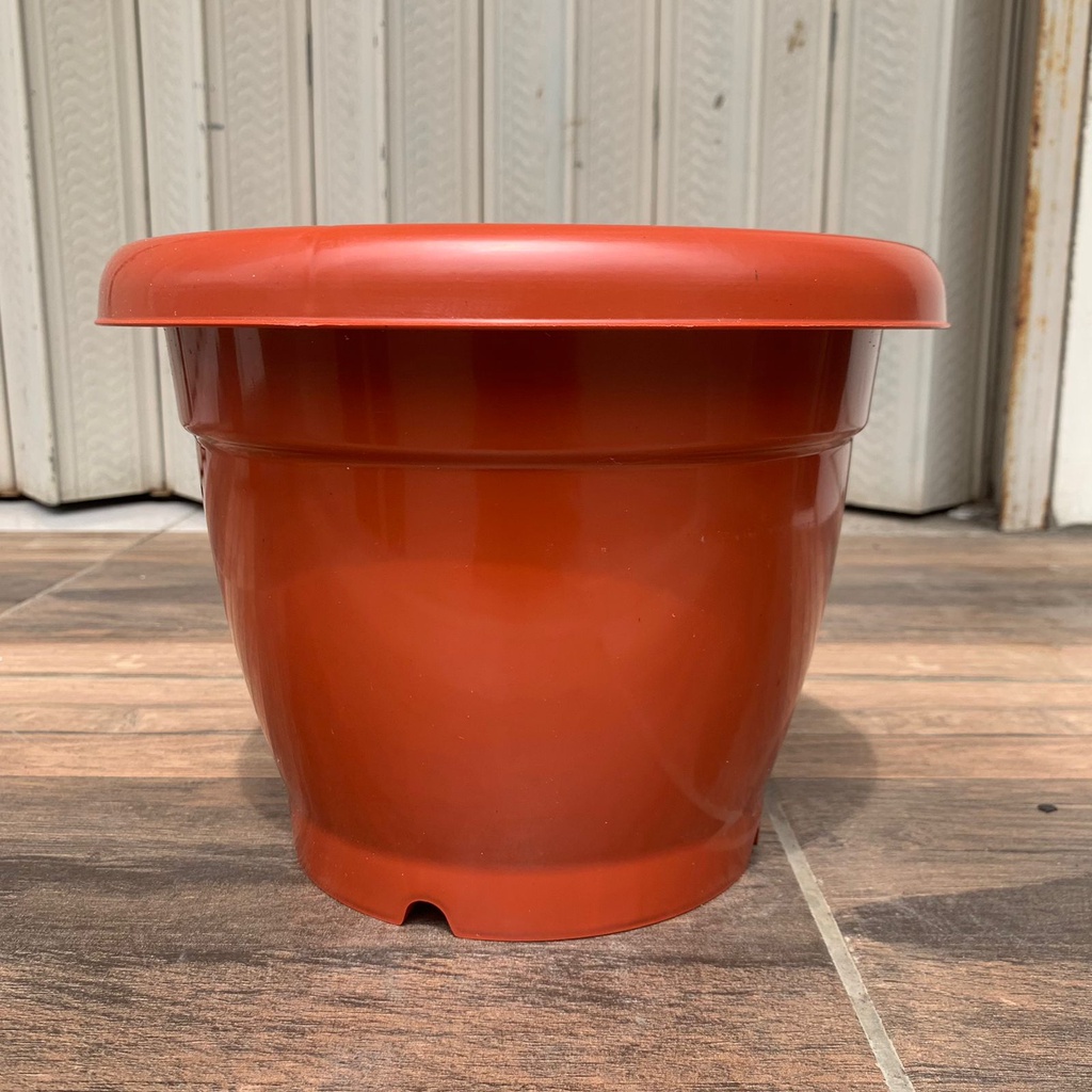 Jual PROMO Pot Bunga Vinca 25 Polos Merah Bata Merah Coklat Terracota ...