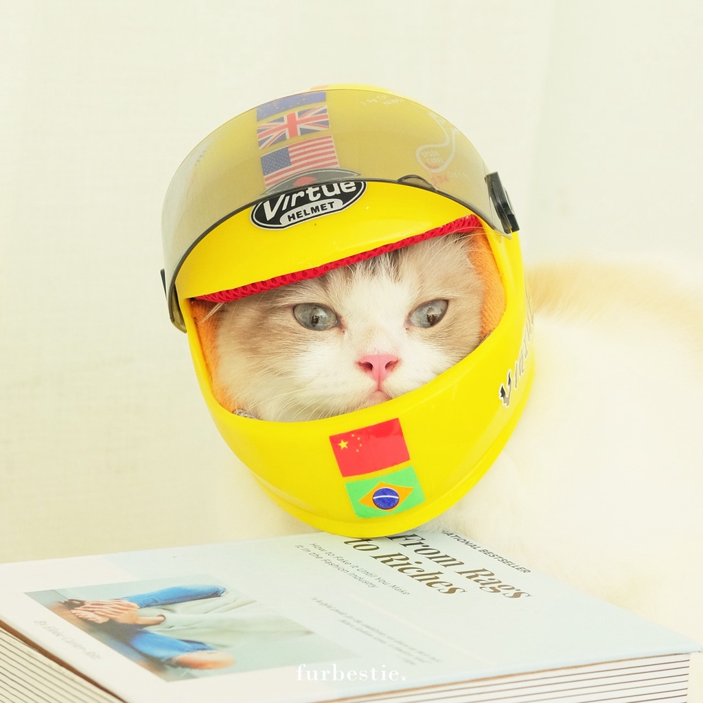 Jual Furbestie - Helm Kucing dan Helm Anjing Helmet | Shopee Indonesia