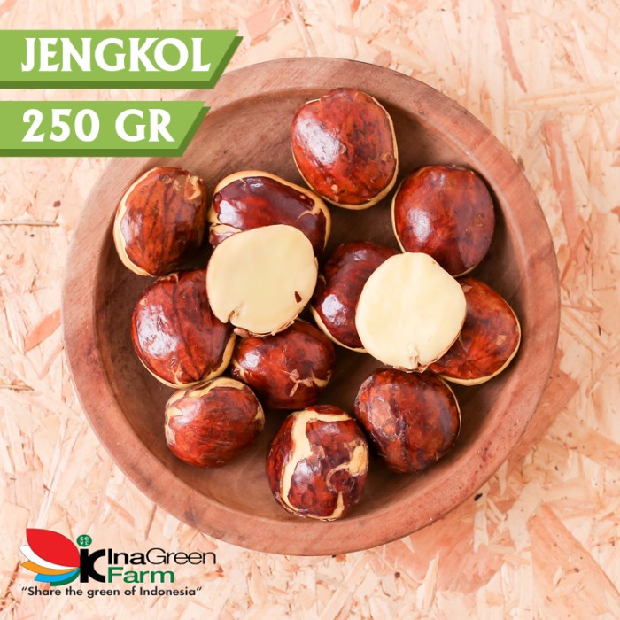 Jual Inagreen Farm Bandung Sayur Jengkol Segar 250 Gram | Shopee Indonesia