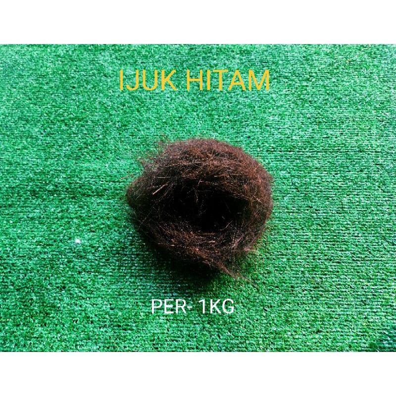 Jual IJUK AREN HITAM FILTER RESAPAN AIR PER-1KG | Shopee Indonesia