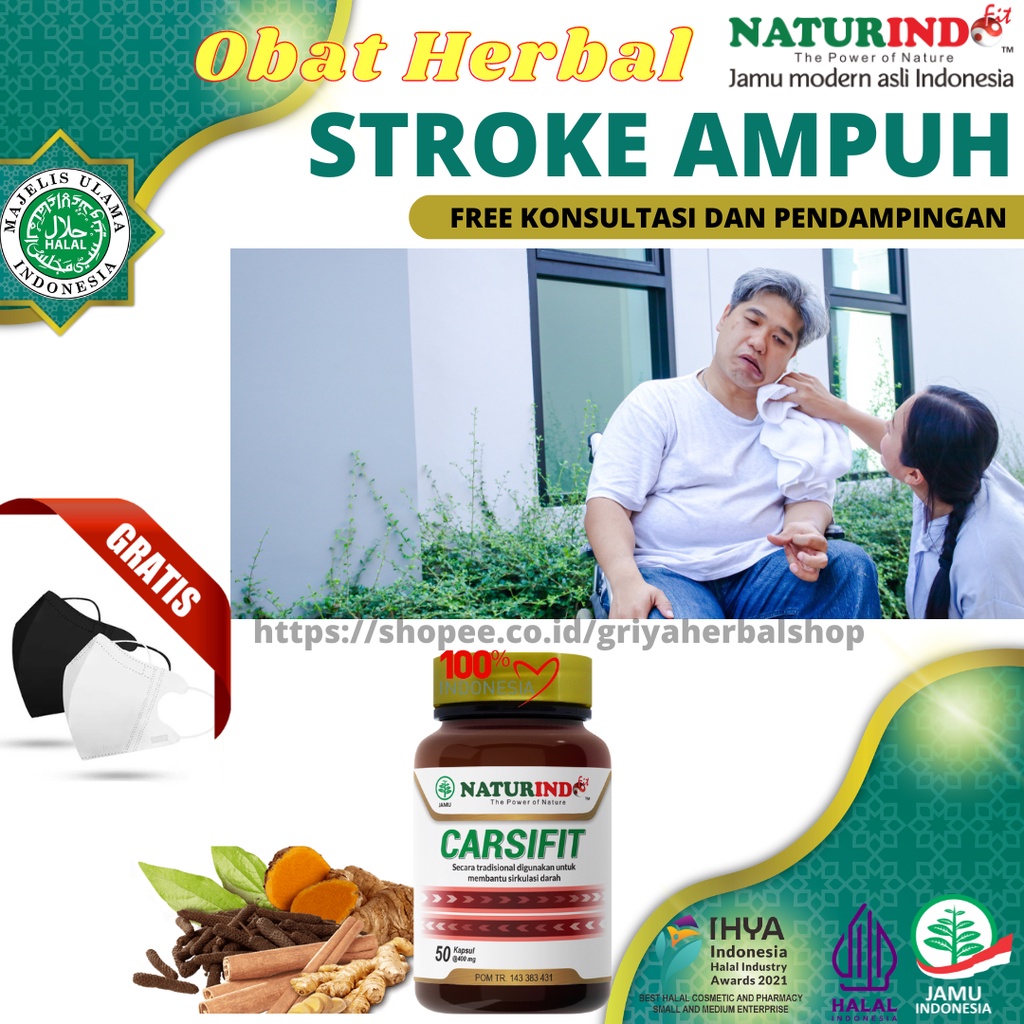 Jual Obat Stroke Ampuh Obat Stroke Ringan Dan Berat Obat Lumpuh Menahun ...