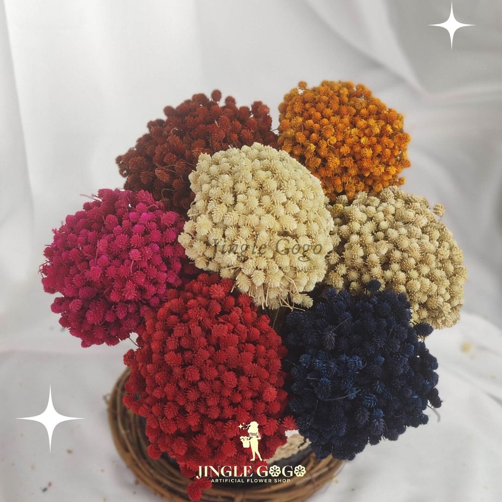 Jual Ecer (1 ikat) Bunga Kering Menilan Dried Flower Preserved Flower ...