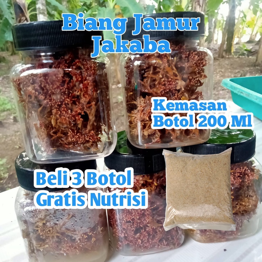 Jual Jamur Jakaba Kemasan Botol 200 Ml. | Shopee Indonesia
