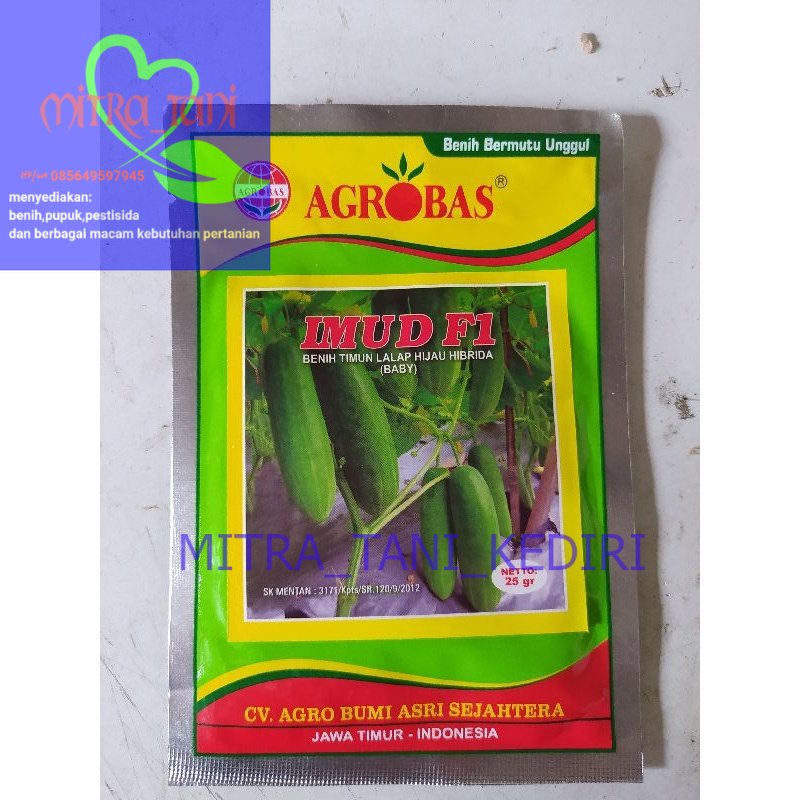 Jual Benih Timun Lalap Hijau IMUD F1 isi 25gram dari AGROBAS | Shopee ...