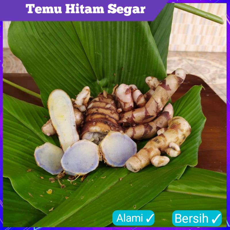 Jual Temu Hitam Segar Alami 1Kg Temu Ireng | Shopee Indonesia