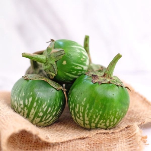 Jual Benih Bibit Sayur Terong Ijo Hijau Lalapan - mudah tumbuh isi 50 ...