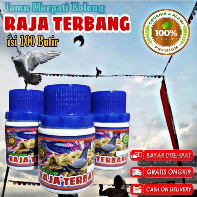 Jual JAMU MERPATI RAJA TERBANG ISI 100 BUTIR pil sarang walet liur ...