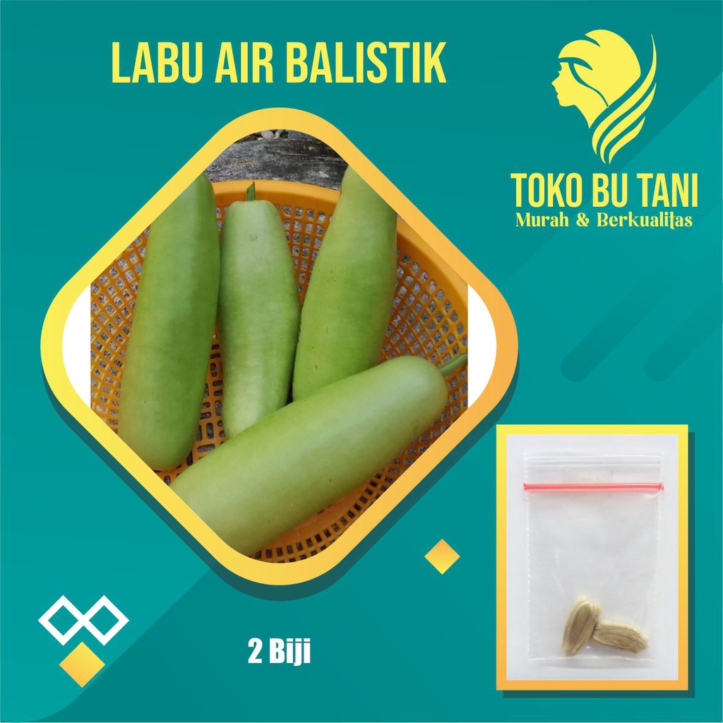 Jual Benih Sayur Buah Labu Air Panjang Balistik Bibit Sayuran Buah ...