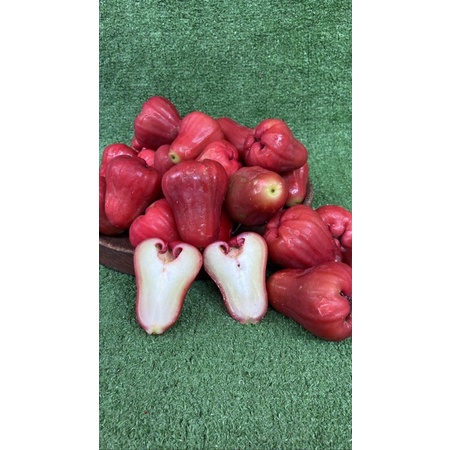Jual Jambu Air Citra 1kg | Shopee Indonesia