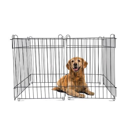 Jual Bang Dicky Kandang Pagar Lipat 60 x 60 CM Hewan Kucing Anjing ...