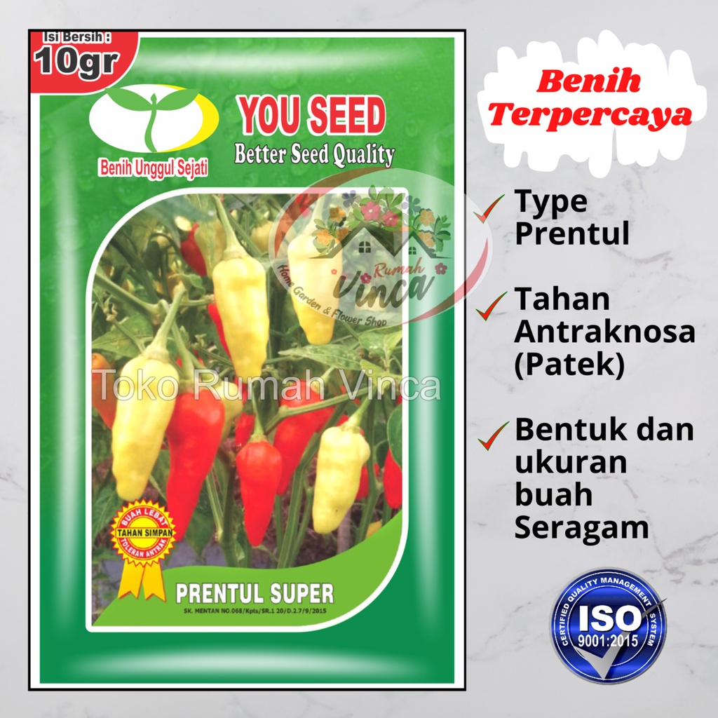 Jual Benih Cabe Rawit PRENTUL SUPER 10g (2250 butir) - Youseed | Shopee ...