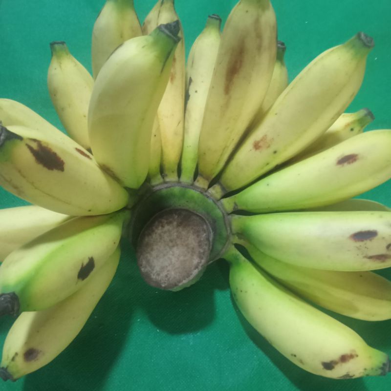 Jual pisang lampung super 1 aisir | Shopee Indonesia