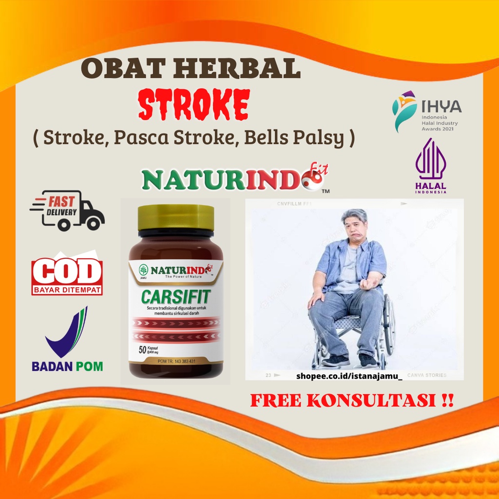 Jual Obat Herbal Stroke Ringan Pasca Struk Berat Bells Palsy ...