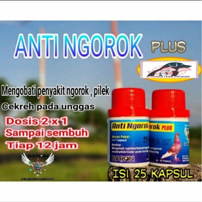 Jual ANTI NGOROK PLUS BARON OBAT BURUNG UNTUK PENAPASAN | Shopee Indonesia