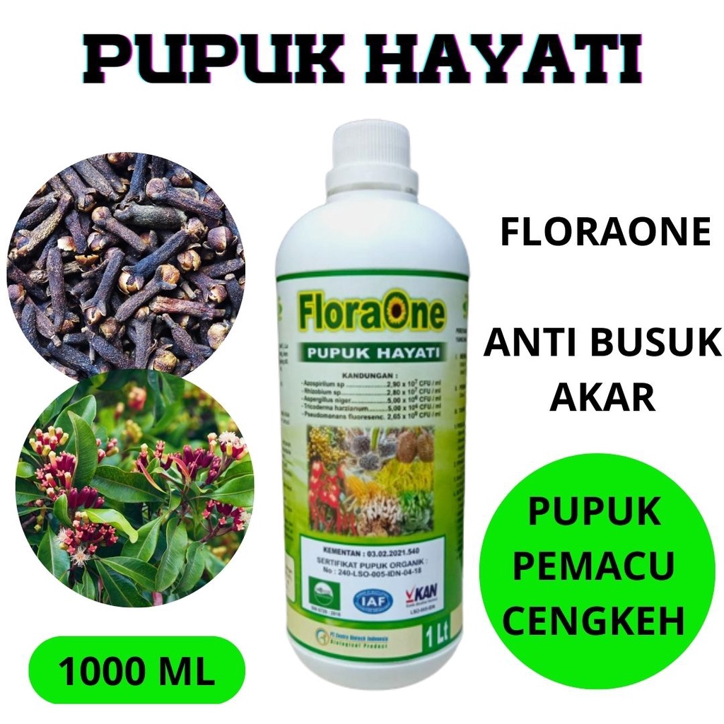 Jual Floraone Pupuk Hayati Cair 1 Liter, Pupuk Cengkeh Agar Berbuah Lebat, Obat Busuk Akar ...