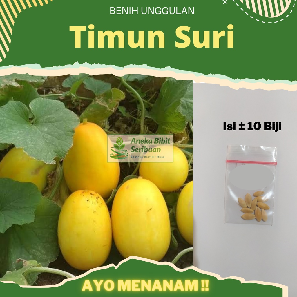 Jual 10 Biji - Benih Timun Suri dari Trias Agro | Shopee Indonesia