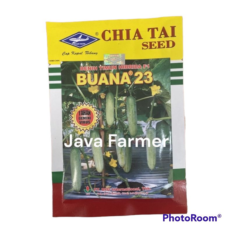 Jual Benih Timun Hibrida F1 BUANA 23 isi 20 gram | Shopee Indonesia