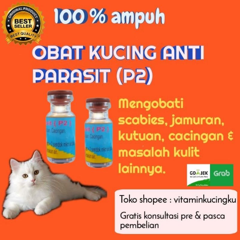Jual Vitamin Kucing Obat Kucing Anti Jamur P2 Obat Kucing Jamuran P2 ...