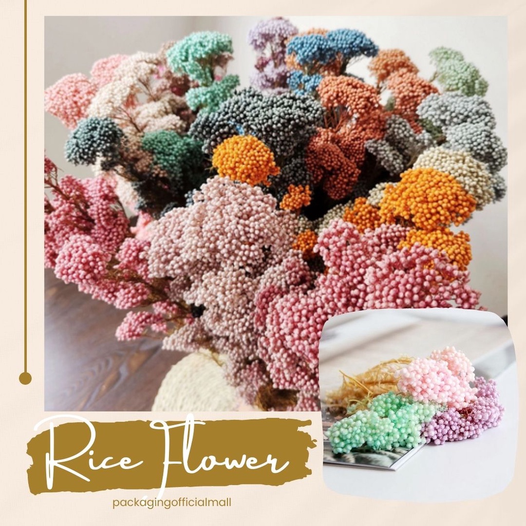 Jual RICE FLOWER Bunga Palsu Artificial Boutique Murah | Shopee Indonesia