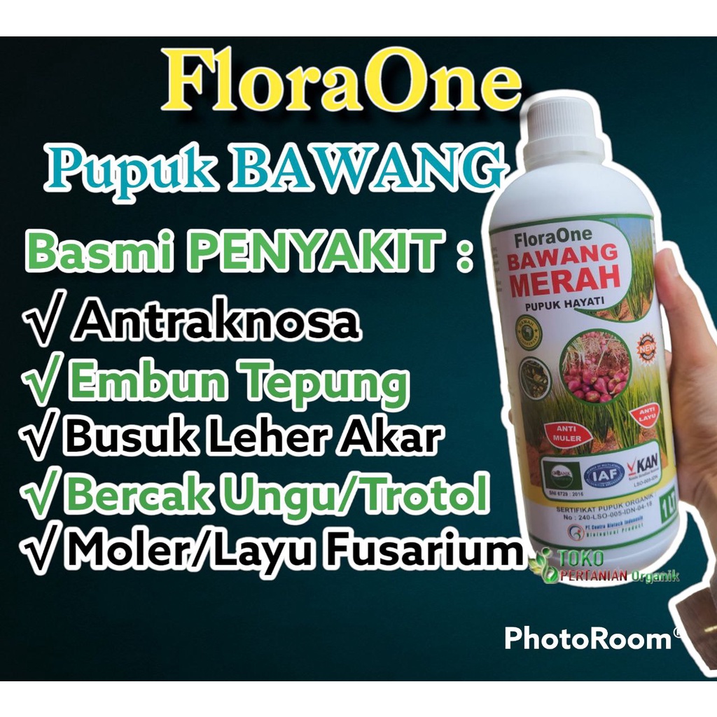Jual Pupuk Hayati cair bawang merah umur 20 hari, FLORAONE 1 L untuk ... Jual Pupuk Hayati cair bawang merah umur 20 hari, FLORAONE 1 L untuk ...