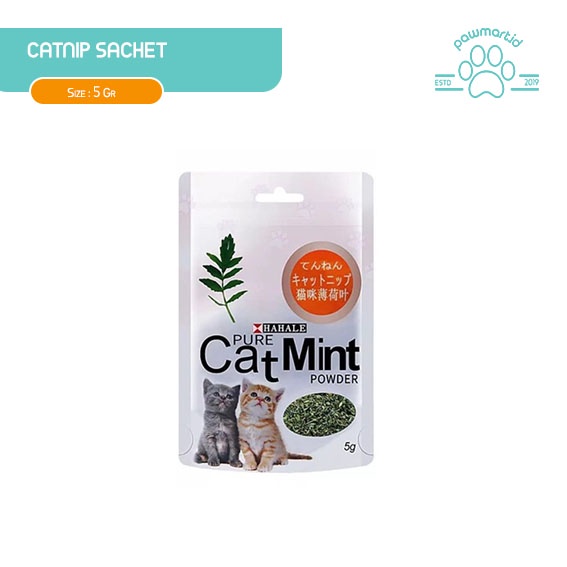 Jual Snack Kucing Daun Catnip Kucing Sachet | Shopee Indonesia