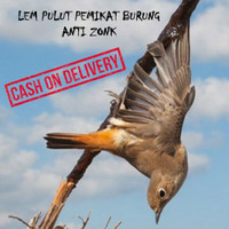 Jual geta pulut pikat super lengket ampuh/getah pulut original/getah ...