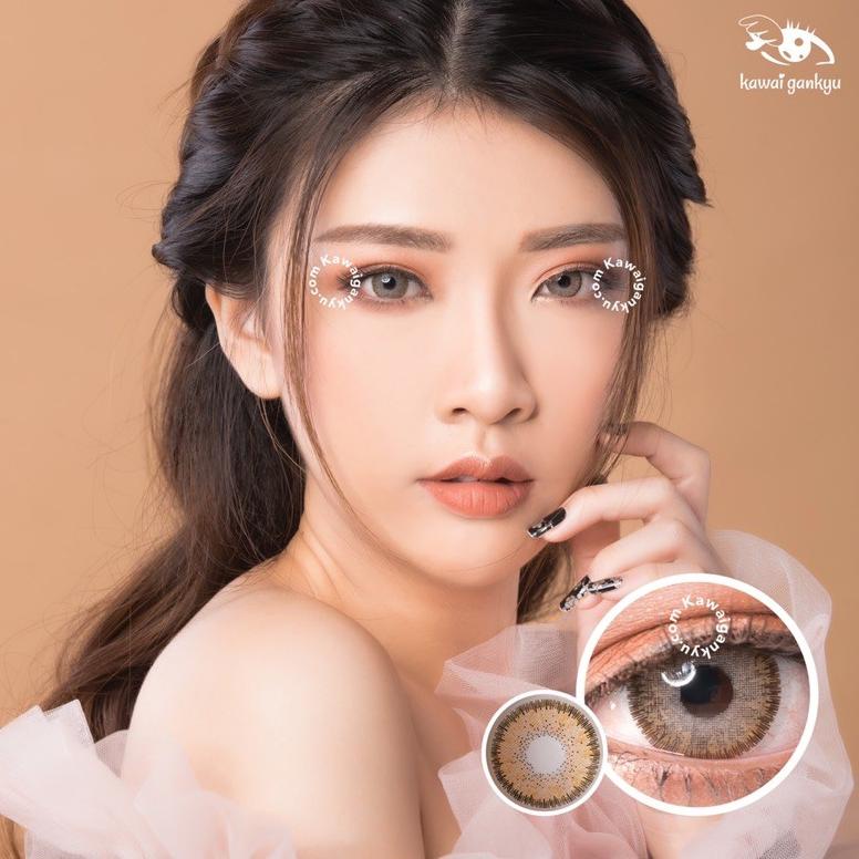 Jual KAWAI GANKYU SOFTLENS DREAMCOLOR MATAKE BROWN (1BOTOL) | Shopee ...